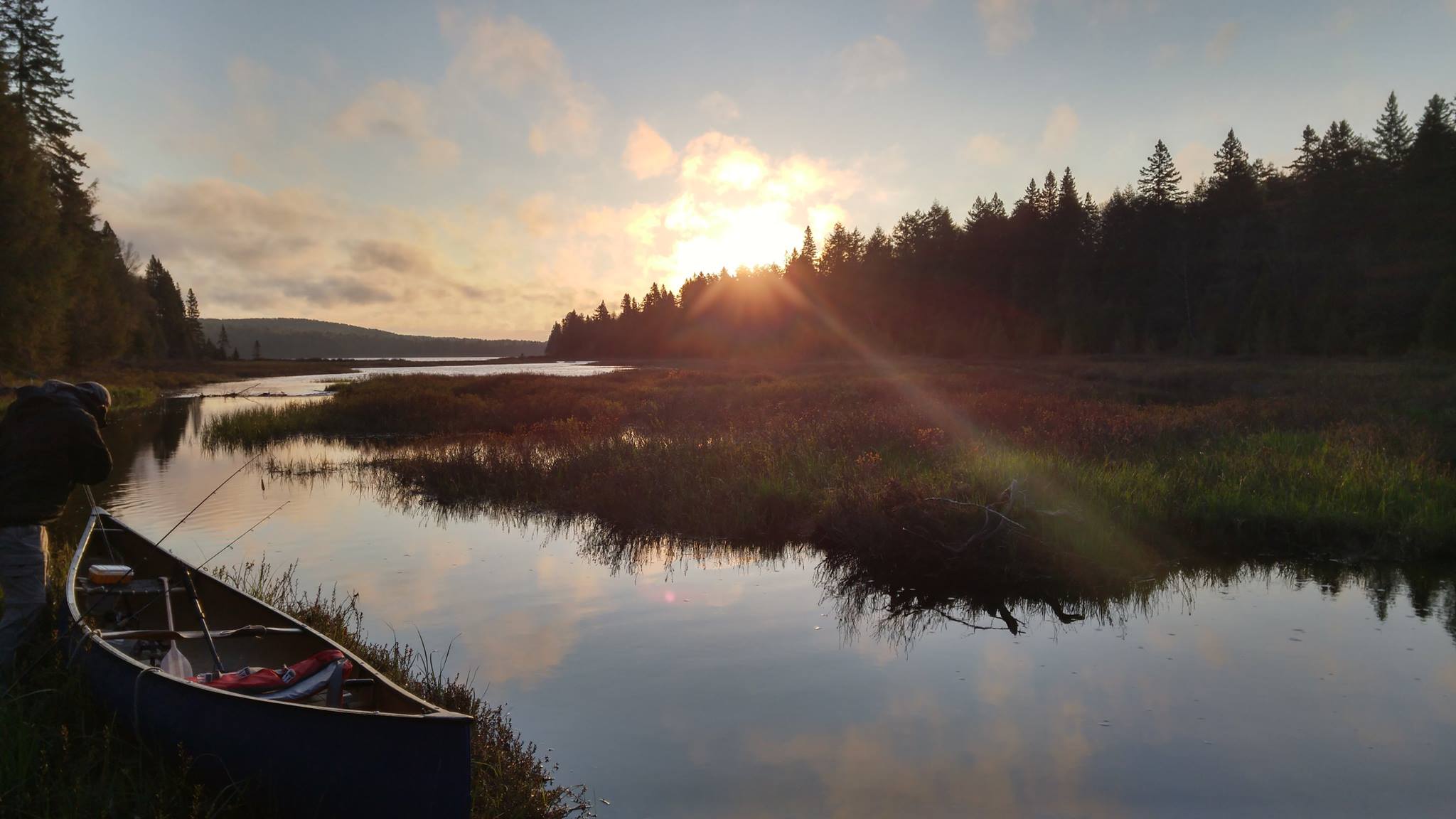 Computational Macroevolution - James Boyko’s Webpage